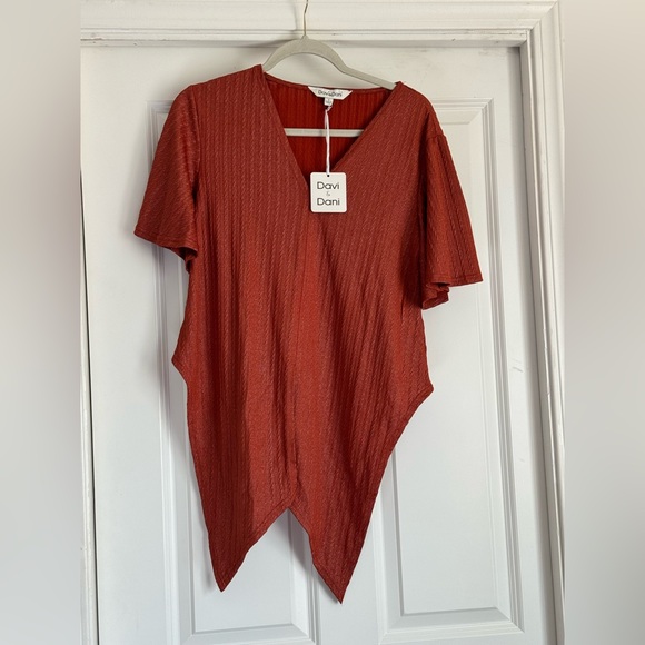 DAVI & DANI | Tops | New Davi Dani Small Burt Orange Rust V Neck Short ...